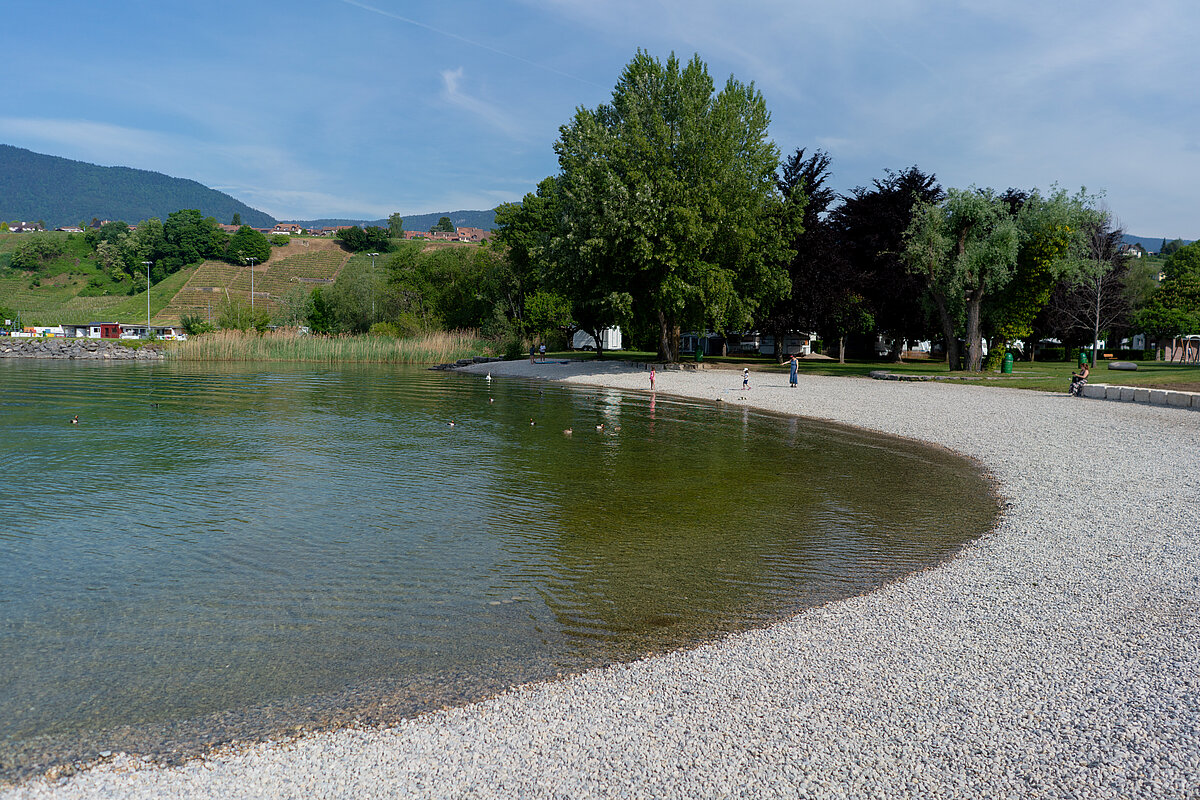 Plage - Cortaillod
